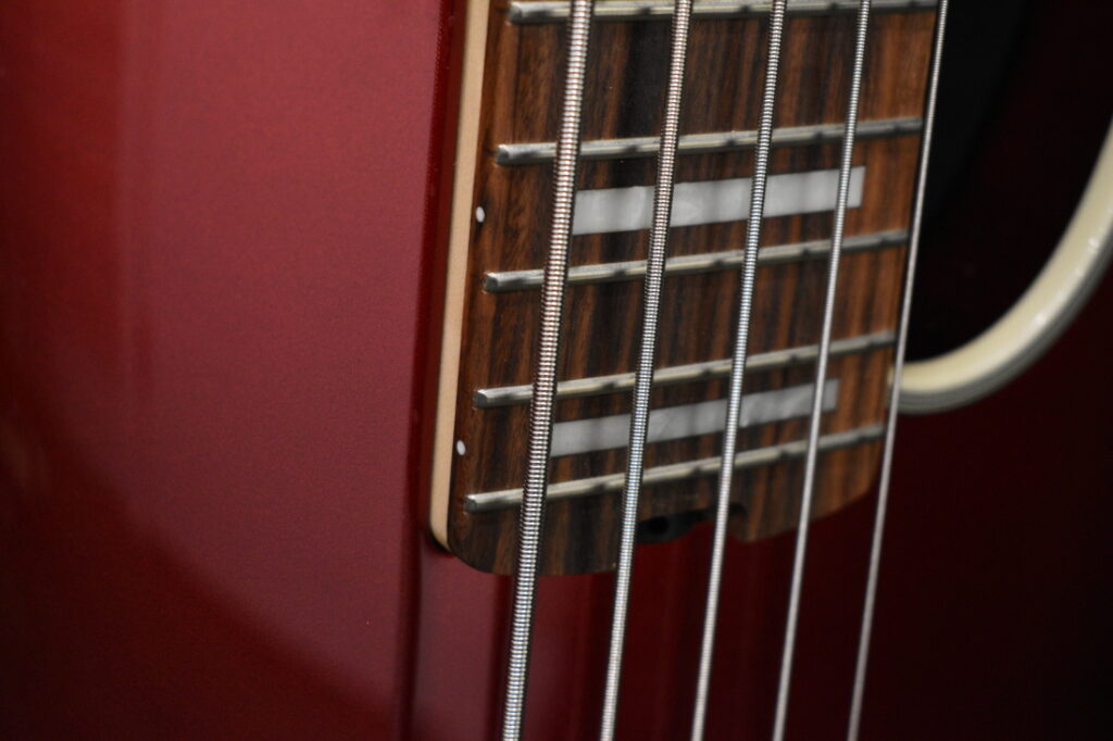 Tribe Bass Guitar SF 5 rd - Bass Gear Direct