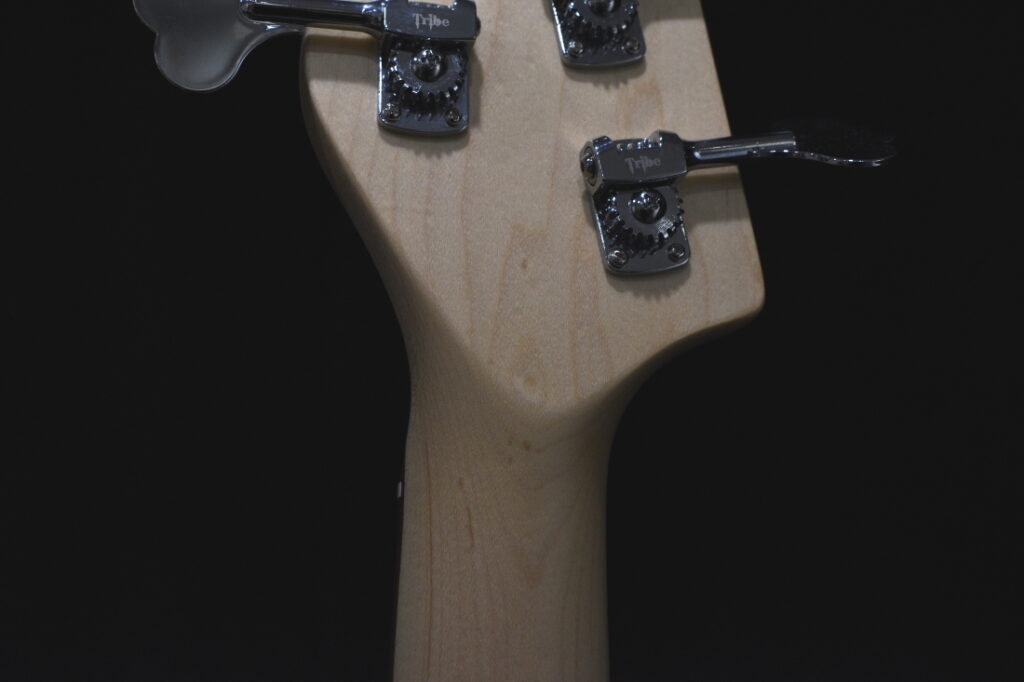 Tribe Bass Guitar Spike 5 skb - Bass Gear Direct