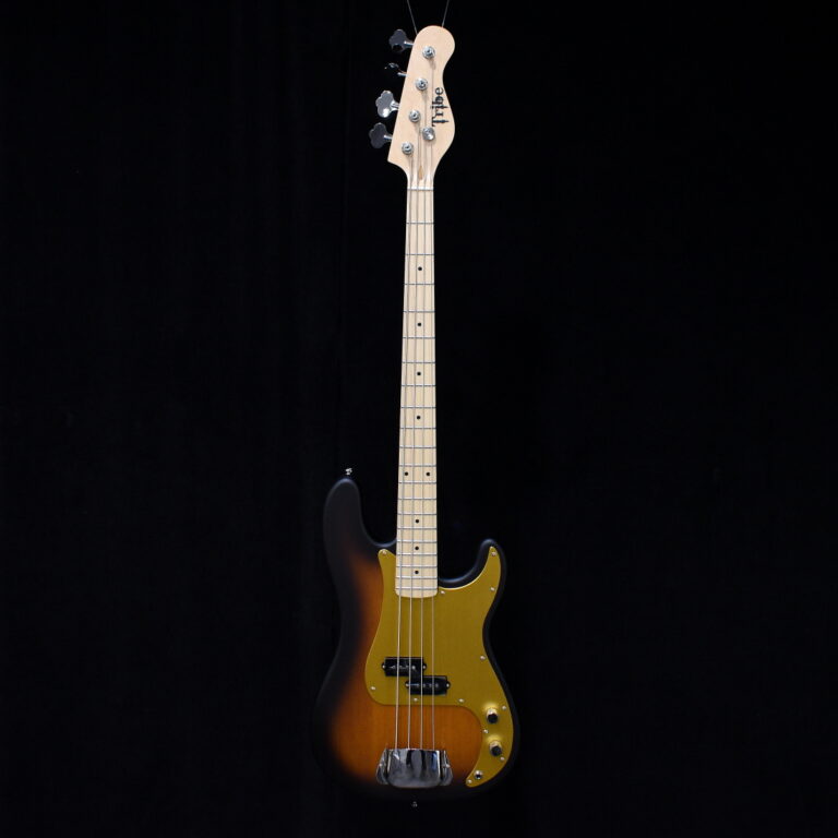 Tribe Bass Guitar Spike 4 tb - Bass Gear Direct