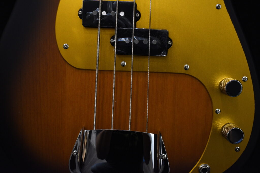 Tribe Bass Guitar Spike 4 tb - Bass Gear Direct