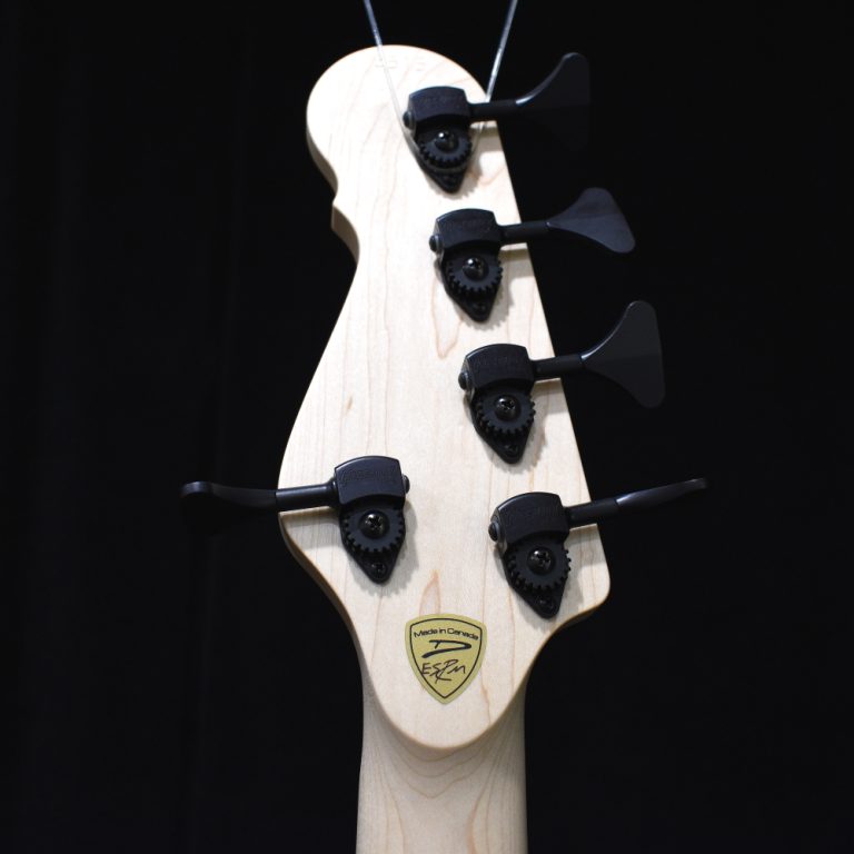 Dingwall Super J 5 String Bass bwc Free Shipping - Bass Gear Direct