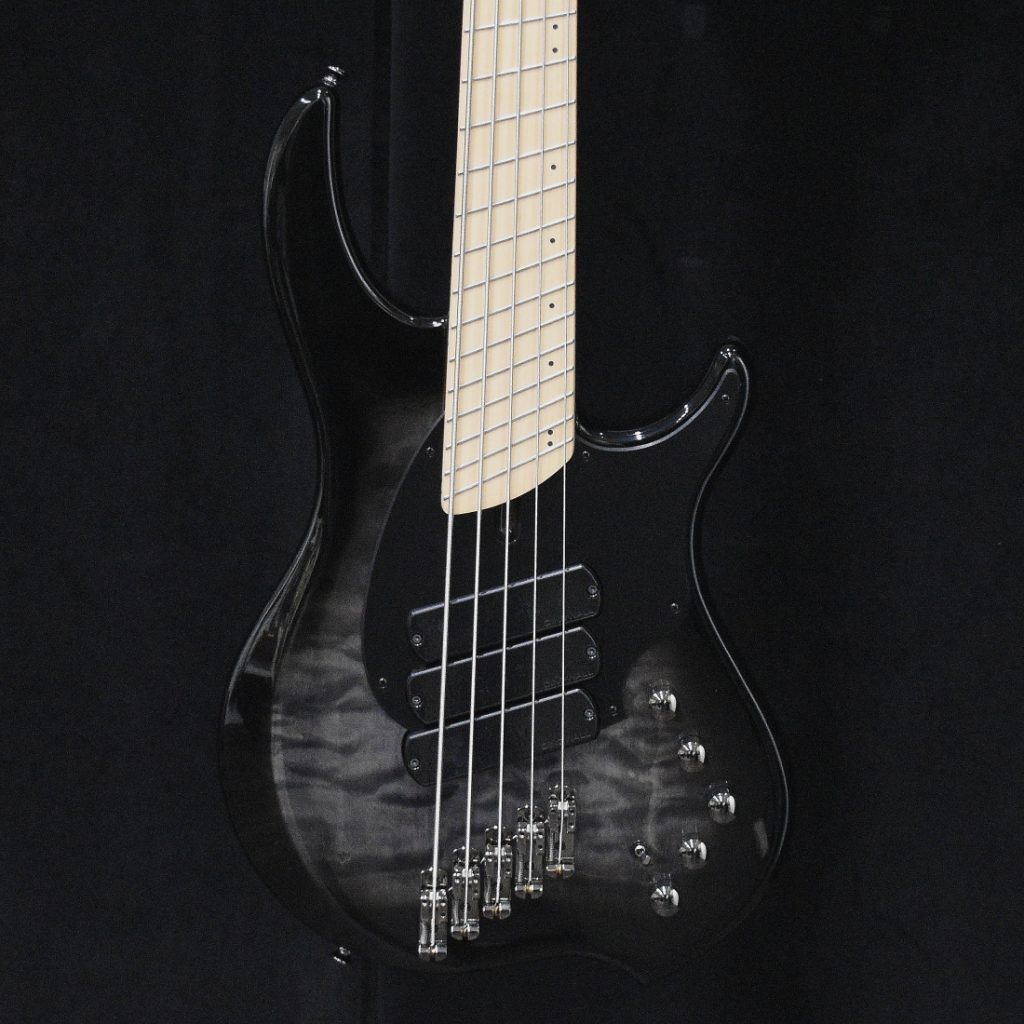 DINGWALL BASS GUITARS - Bass Gear Direct