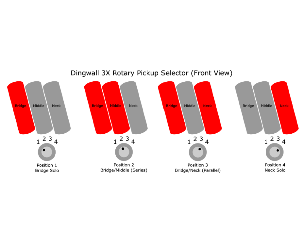 Dingwall Bass NG3 4 mgm - Bass Gear Direct